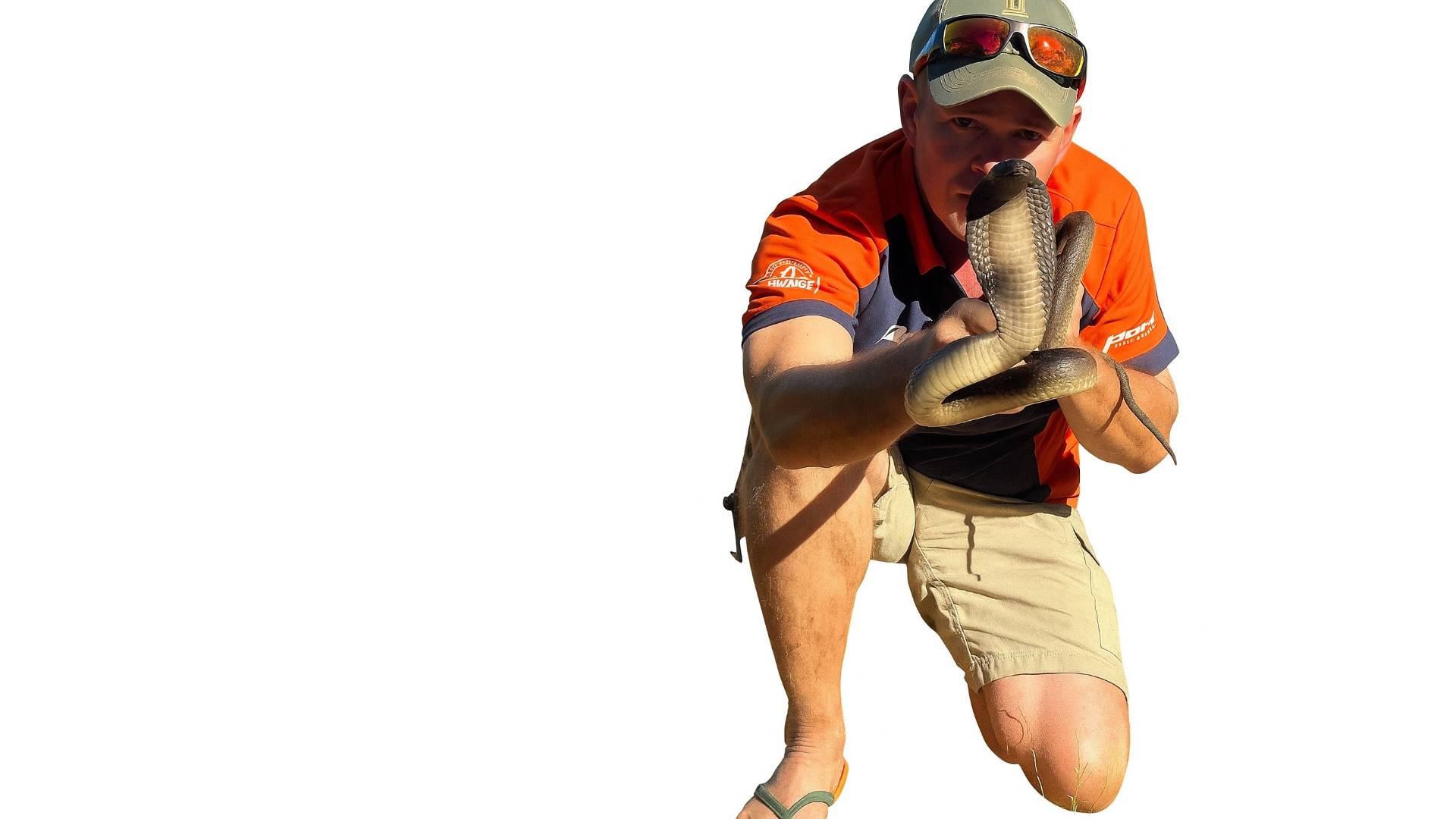 Boland Snake Removals | 24/7 Emergency Snake Catcher Wellington, Paarl ...